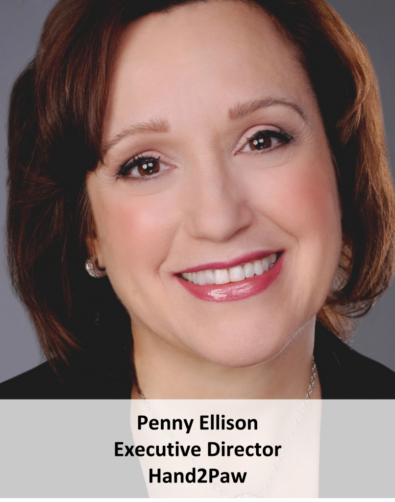 AOI Podcasts 2023 – Aging Out Institute