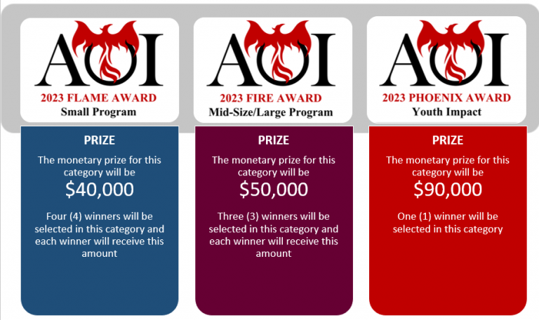 2023 Awards Program – Aging Out Institute