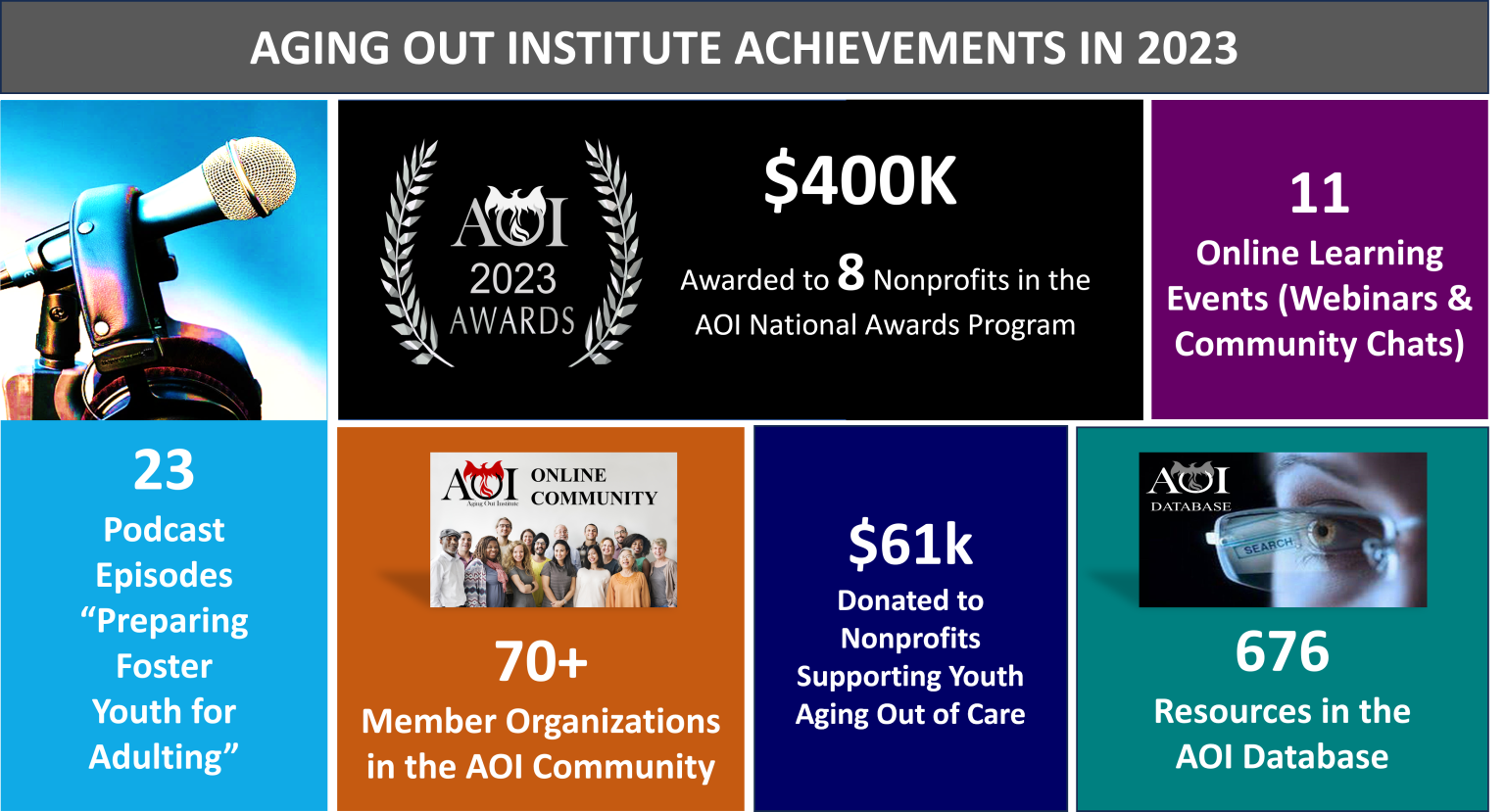 AOI 2023 Achievements – Aging Out Institute